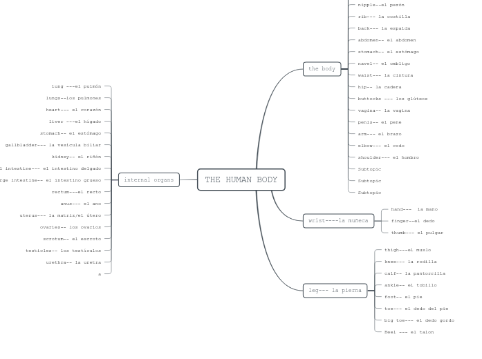 THE HUMAN BODY - Mind Map